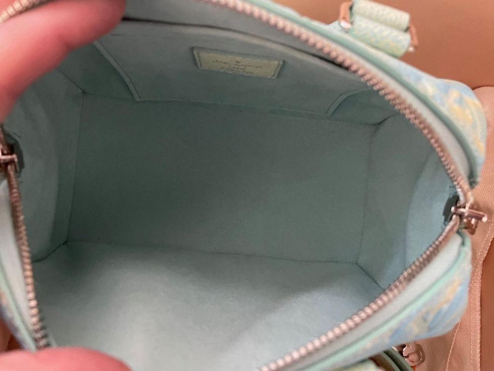 👜 ️LOUIS VUITTON SPEEDY 20 STARDUST💋 (Neu und originalverpackt) in ...