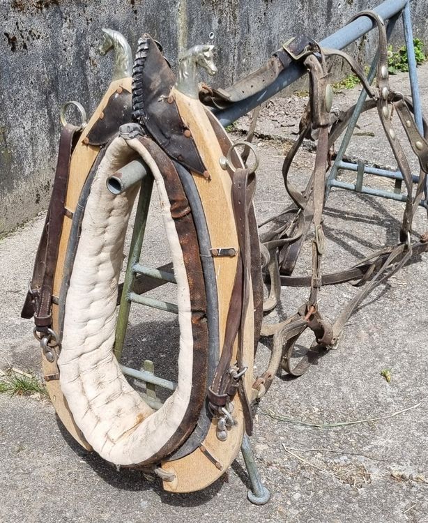 Fahrgeschirr mit sehr schönem Kummet für Haflinger (Gebraucht) in ...