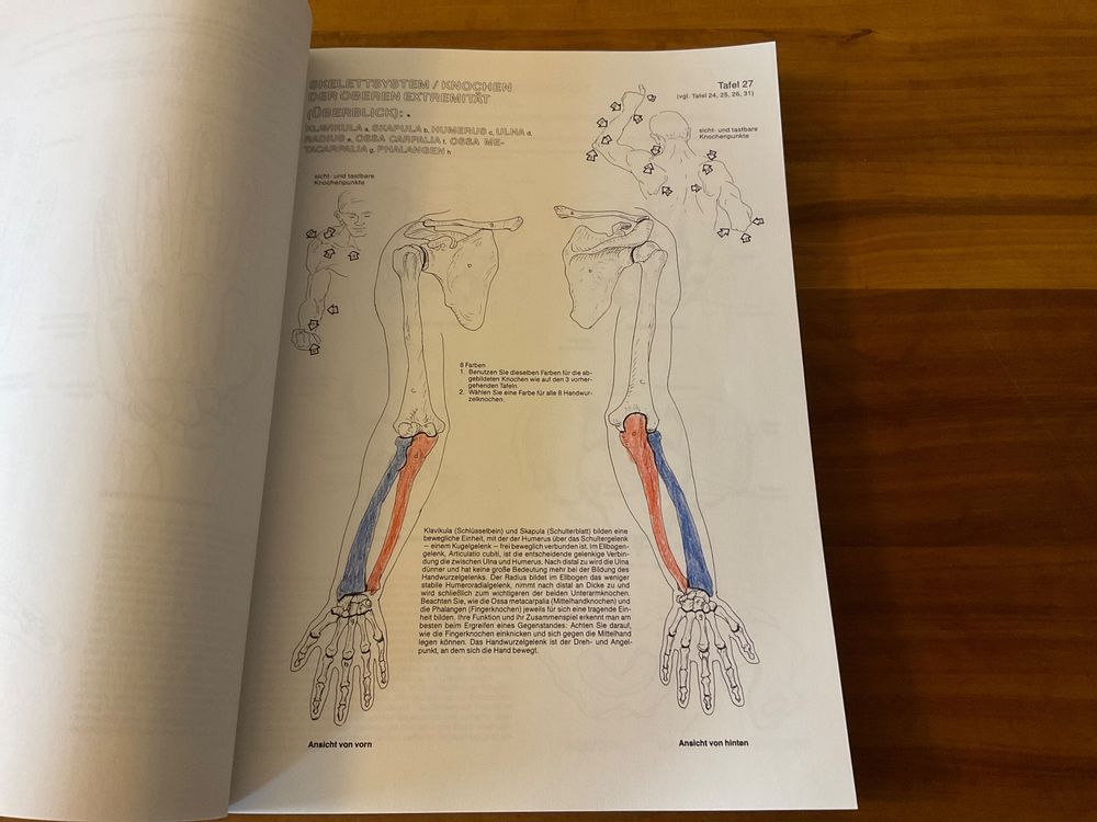 Anatomie- Malatlas, von Wynn Kapit & Lawrence M. Elson | Kaufen auf Ricardo