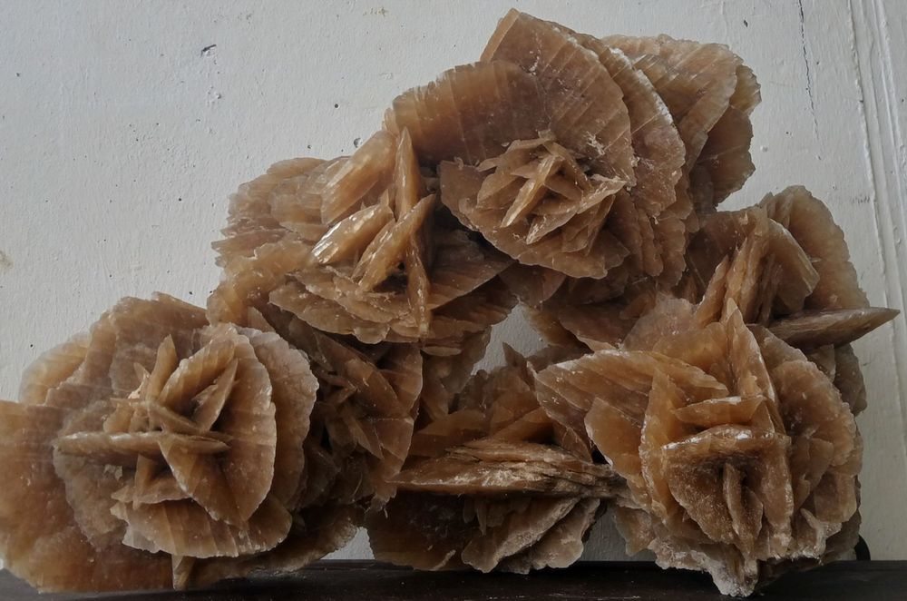 Prix Des Roses Des Sables