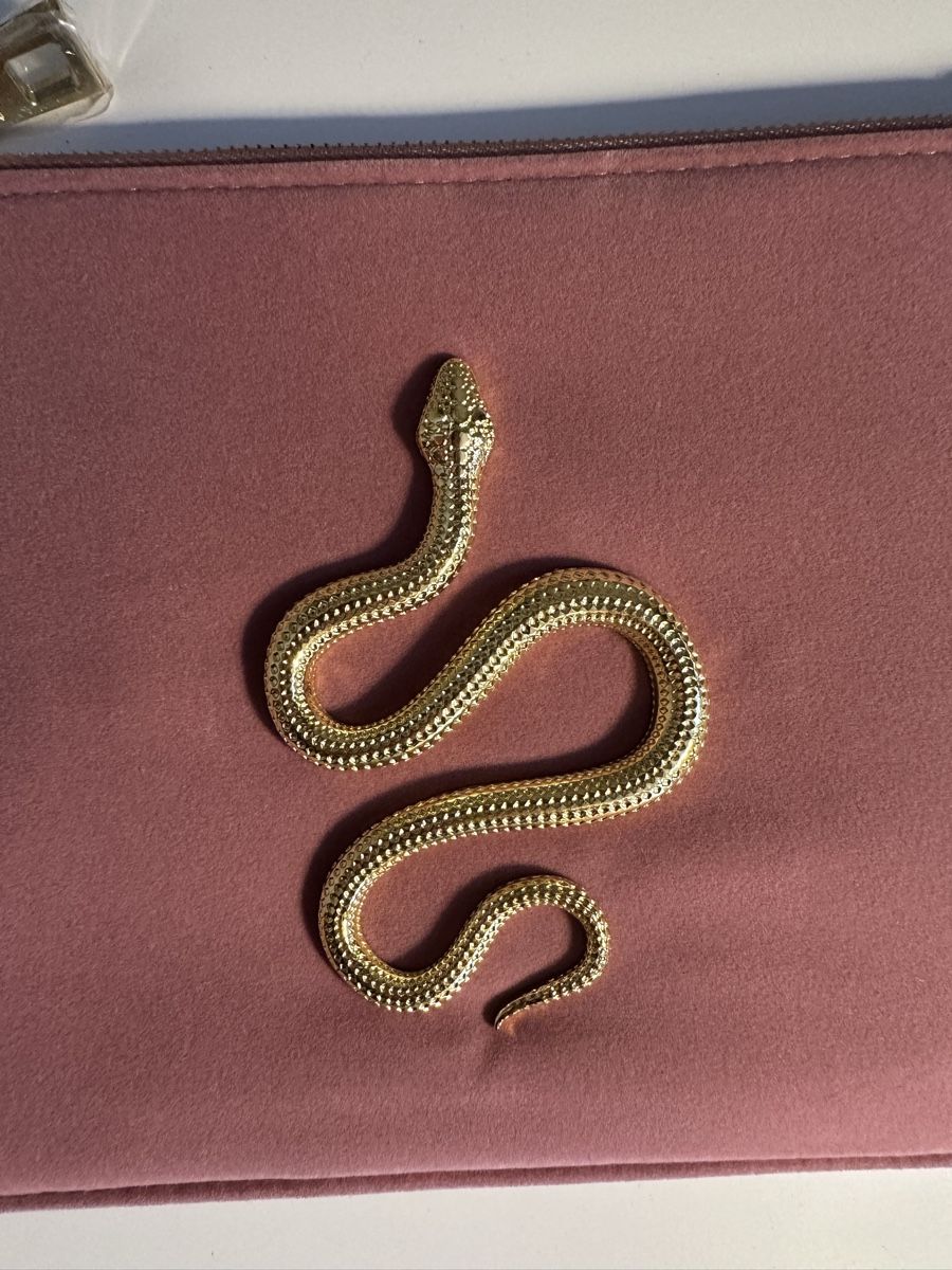 Paco Rabanne Clutch, Altrosa mit Schlange 🐍, Neuwertig! (Neu und ...