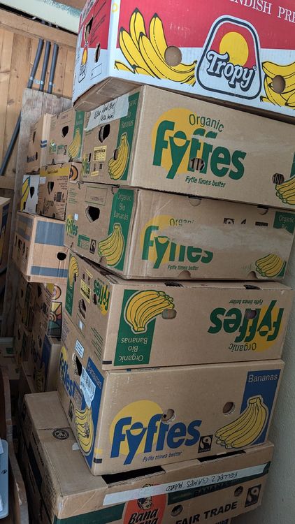 Bananenkisten und Zügelkiste (Gebraucht) in Busswil BE für CHF 1 – nur Abholung auf Ricardo kaufen