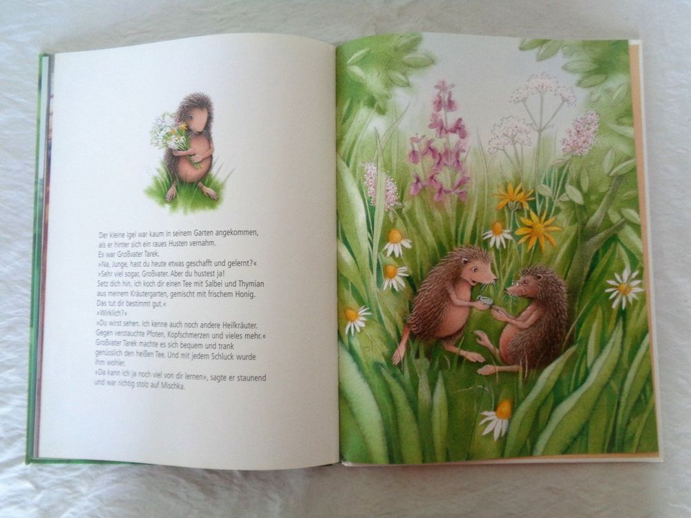 Der glückliche Mischka - Marcus Pfister / Bilderbuch (Gebraucht) in für ...