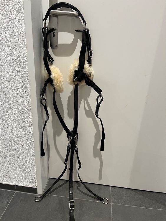 Vorderzeug mit Martingal (Gebraucht) in Studen BE für CHF 50 – nur ...