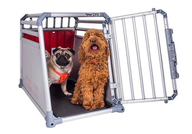 4Pets Hundebox Transportbox Gr. M, DOGBOX PRO 2 | Kaufen auf Ricardo