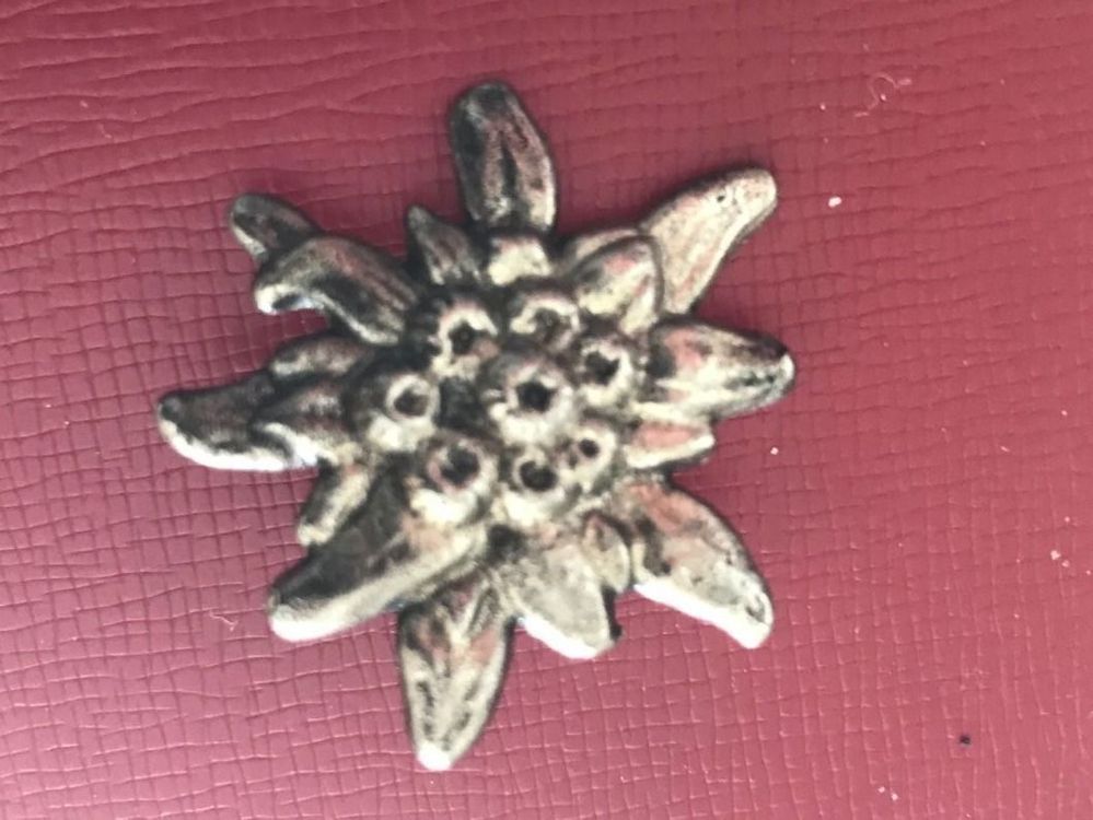 Edelweiss 1 Pin | Kaufen auf Ricardo