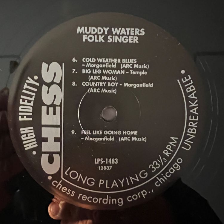 Muddy Waters - Folk Singer / US 2002 - Audioph. Press. 200gr (Gebraucht ...