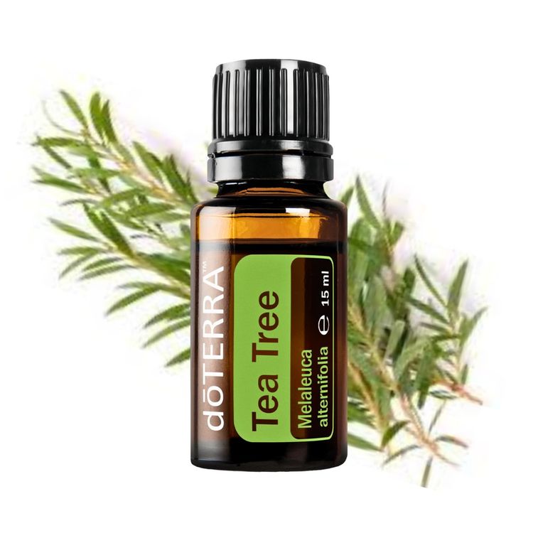 Teebaumöl, ätherisches tea tree oil, original doTerra (Neu und ...