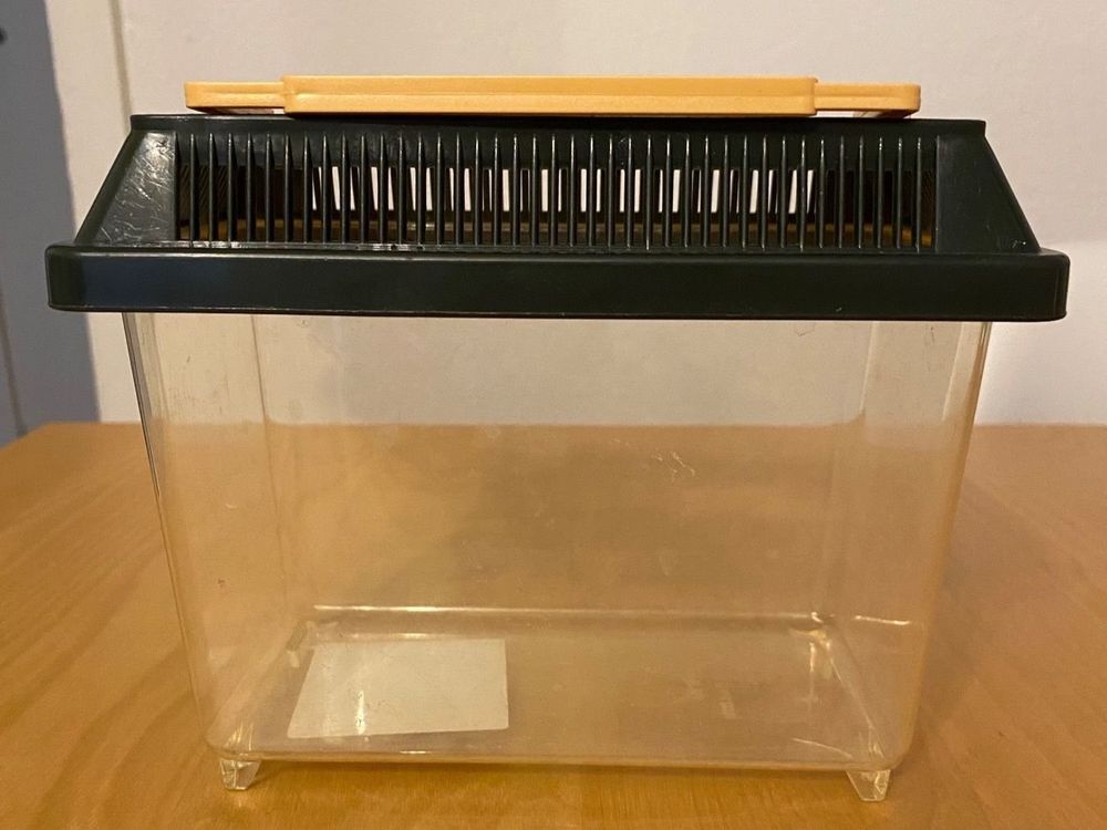 Amphibien Terrarium Transportbox (Gebraucht) in Fischenthal für CHF 1 ...