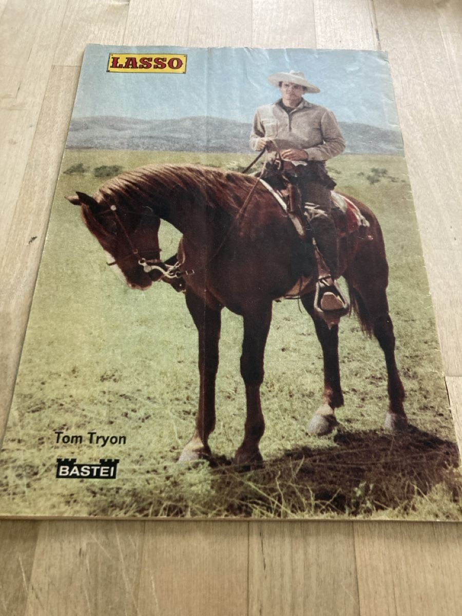 Lasso Band 70 (Neu (gemäss Beschreibung)) in Zürich für CHF 15 – mit ...