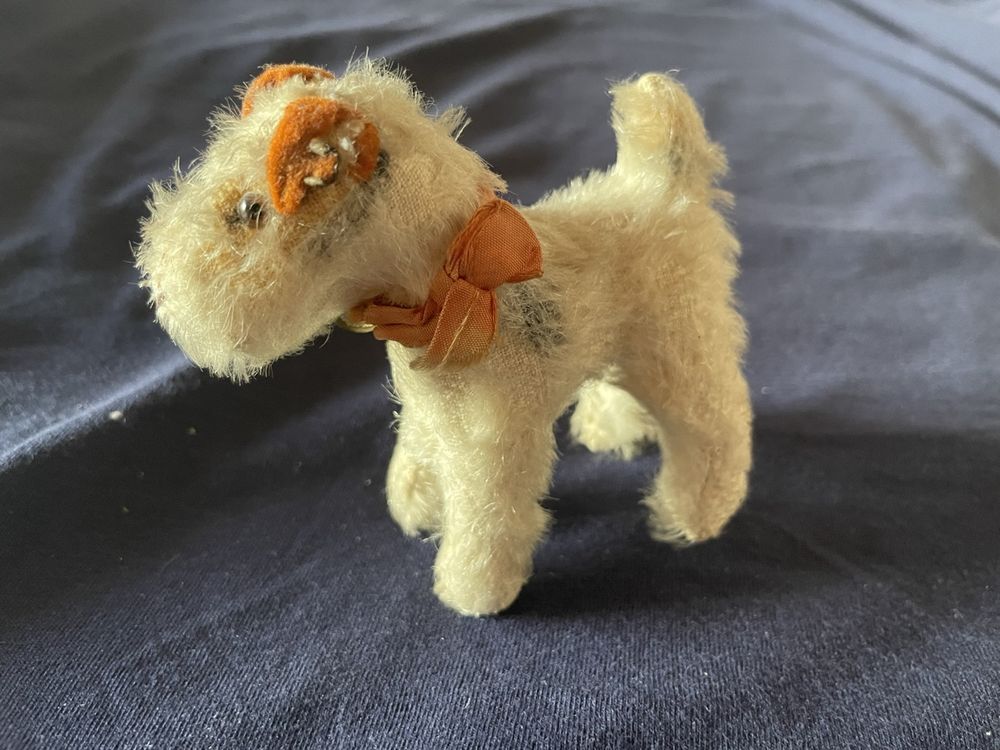 Steiff Hund Terrier (Gebraucht) in Villnachern für CHF 20 – mit ...