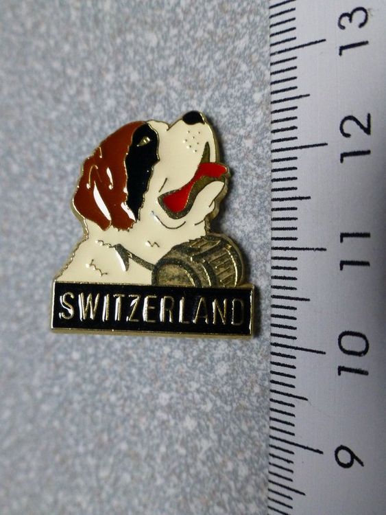 PIN PINS SCHWEIZ (Gebraucht) in Gränichen für CHF 1 – mit Lieferung auf ...