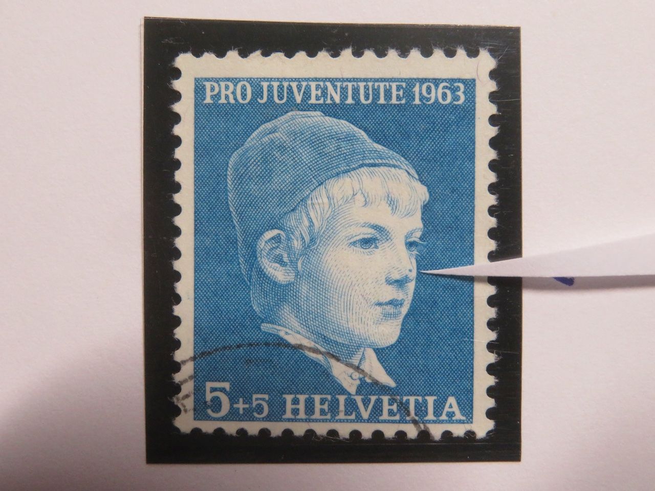 Abart J 200L blauer Punkt auf der Nasenspitze (Gebraucht) in Spreitenbach für CHF 2.9 – mit ...