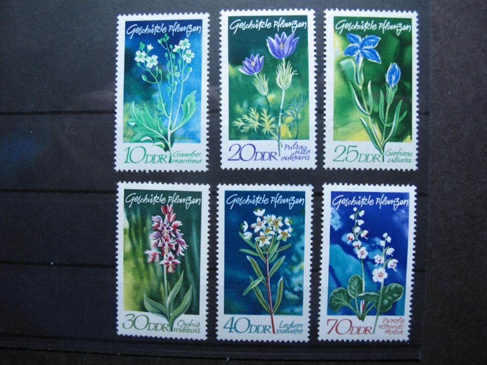 DDR 1970 Geschützte Pflanzen ** | Kaufen auf Ricardo