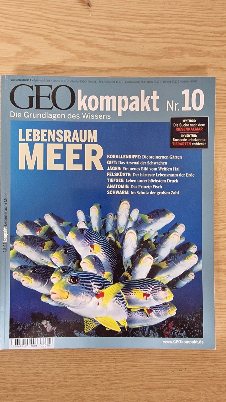 GEO Kompakt Nr. 10 - Lebensraum Meer - Top Zustand! (Gebraucht) in ...