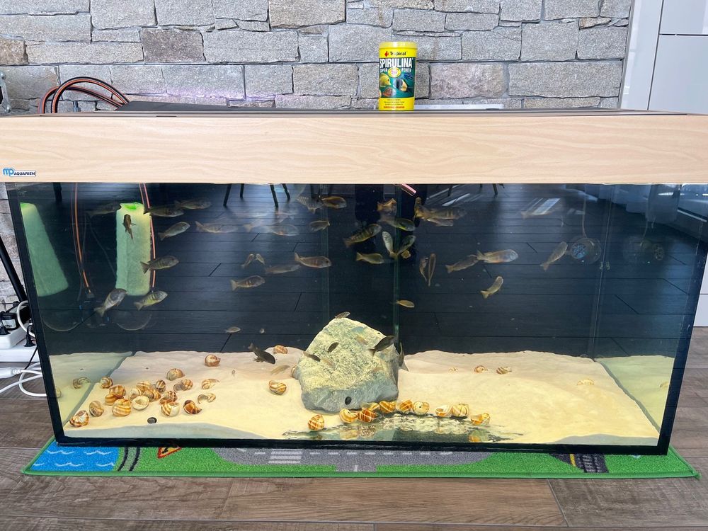 Aquarium 500l inklusive Abdeckung (Gebraucht) in Muri AG für CHF 71 ...