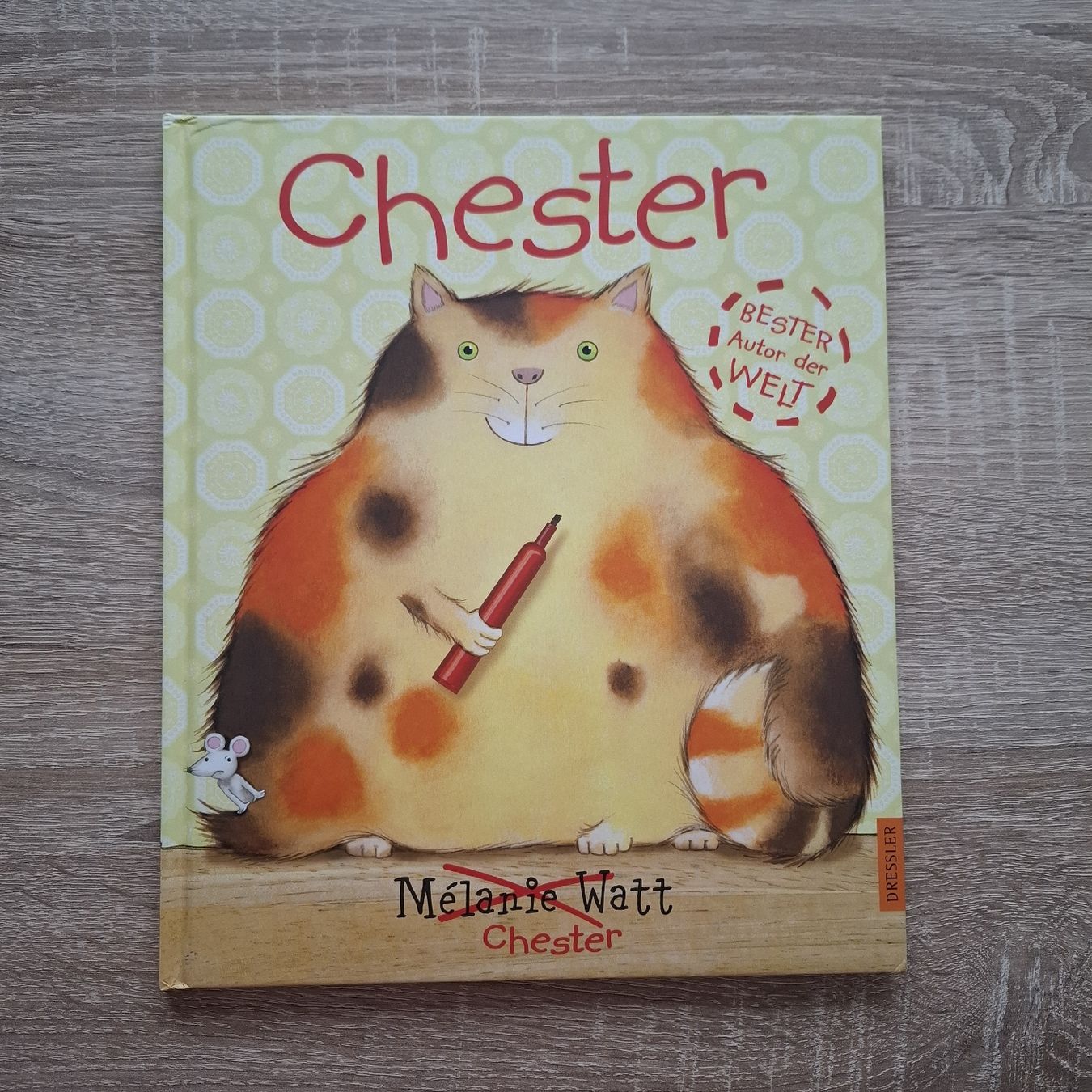 Chester - Süsses Kinderbuch von Melanie Watt (Gebraucht) in Hägglingen ...