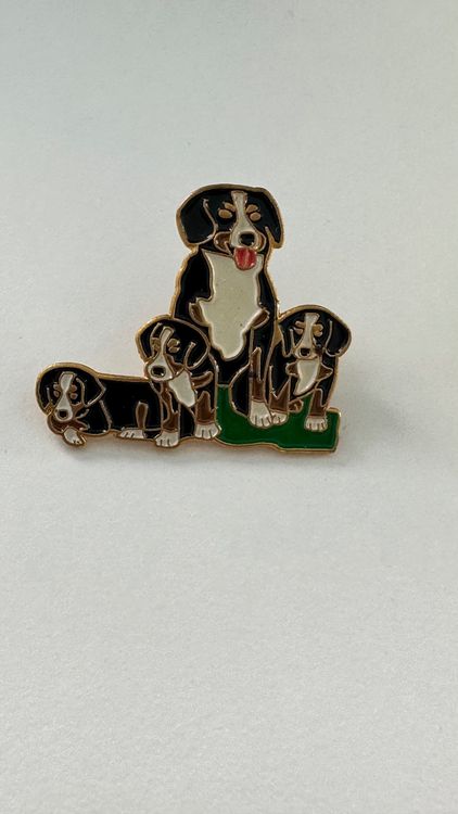 Berner Sennenhund Pin (Gebraucht) in Gutenswil für CHF 4 – mit ...
