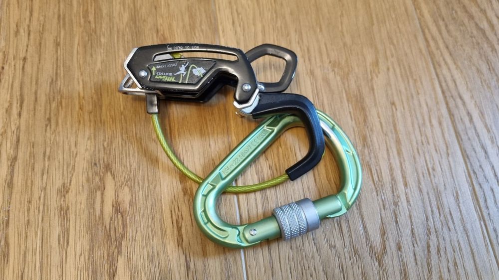 EDELRID GIGAJUL MIT SCHRAUBKARABINER (Gebraucht) in Basel für CHF 35 – mit Lieferung auf Ricardo ...