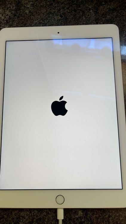 Apple iPad Air 2 64 GB | Kaufen auf Ricardo