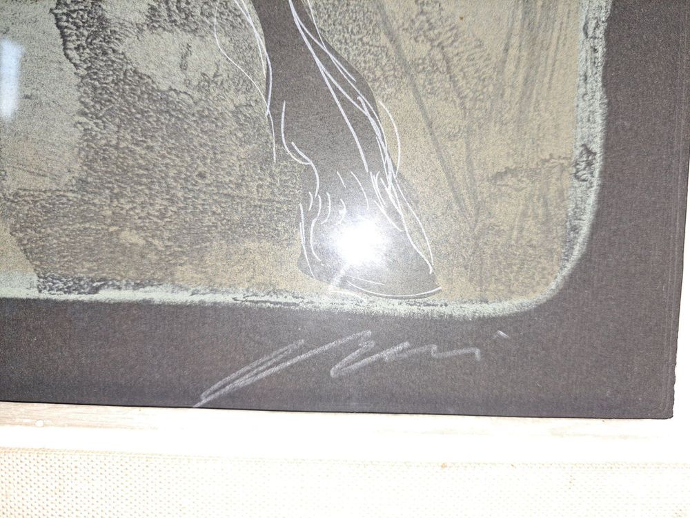 Hans Erni, 2 Pferde mit Original Unterschrift (Gebraucht) in Laupen BE für CHF 200 – nur ...