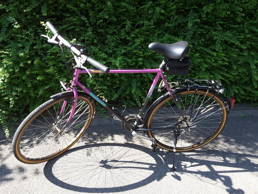 Villiger Gottardo Trekking-Herren-Velo | Kaufen auf Ricardo