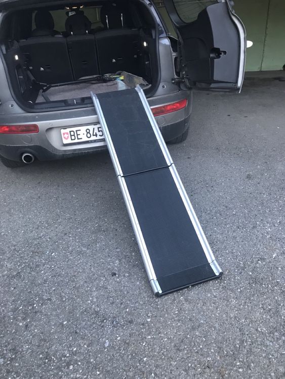 Luxus Rampe Hund Auto Bildernull