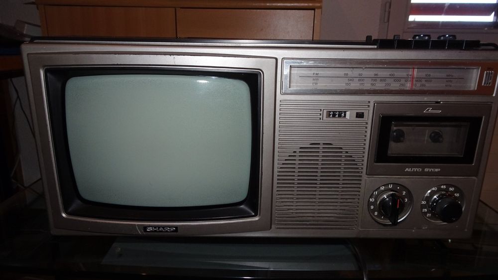 Sharp 10P-28G Radio Cassette TV voll funktionsfähig (Gebraucht) in ...