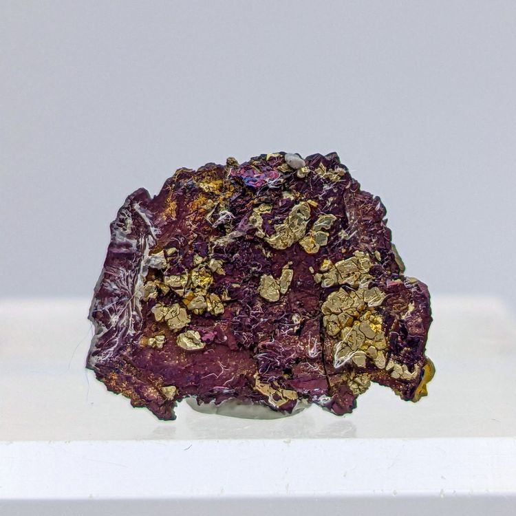 COVELLIT mit PYRIT, Eines der seltensten Mineralien der Welt (Neu ...