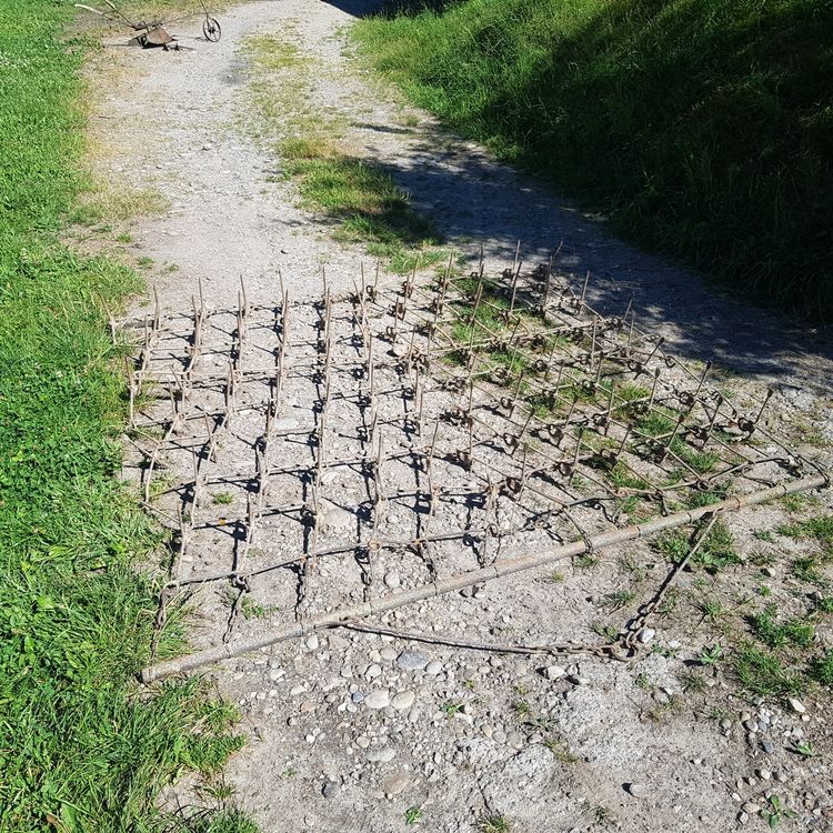 Striegel (Gebraucht) in Kernenried für CHF 1 – nur Abholung auf Ricardo ...