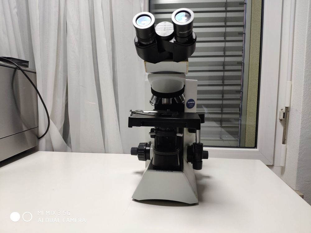 OLYMPUS CX31 Microscope | Kaufen auf Ricardo