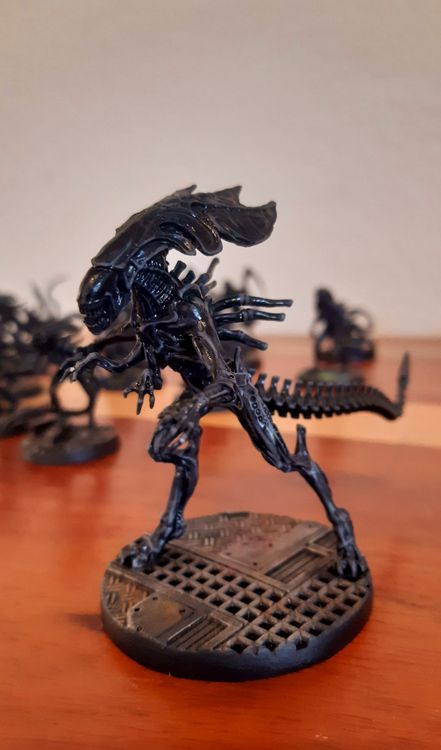 Alien vs Predator / Tabletop / Warhammer 40k (Gebraucht) in Horgen für ...