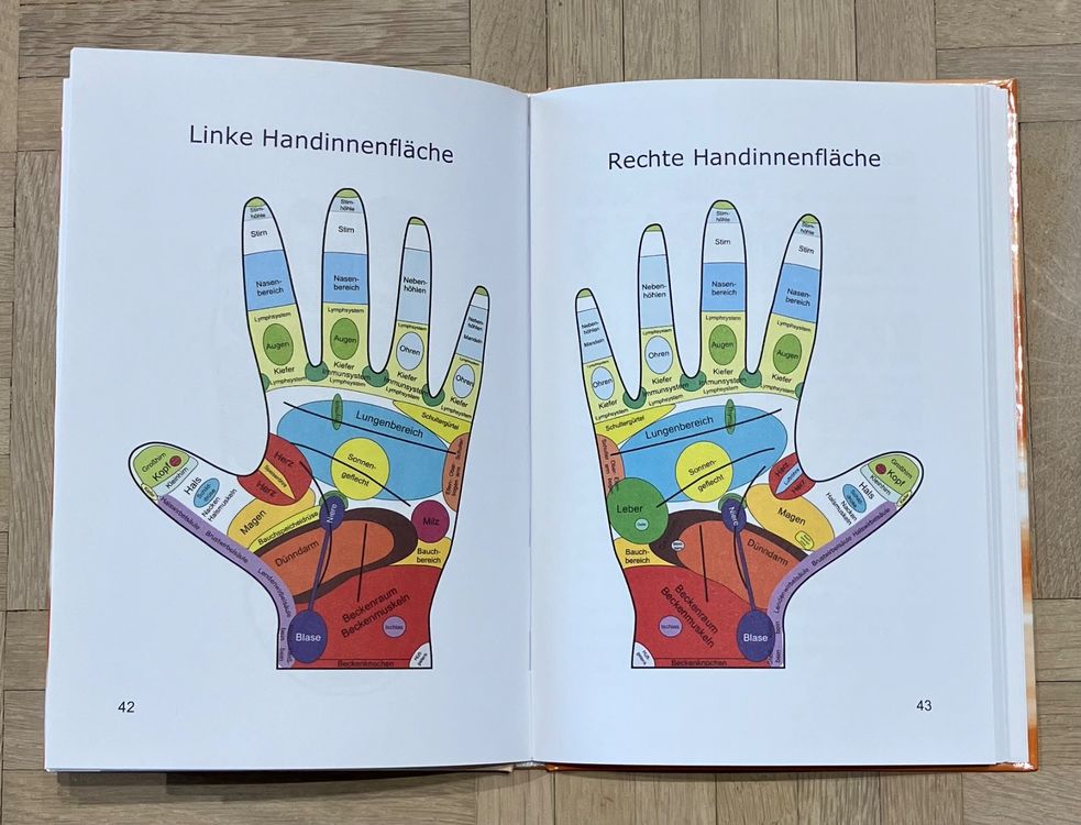 Reflexzonentherapie Übersicht in Farbe - Tanja Aeckersberg | Kaufen auf Ricardo