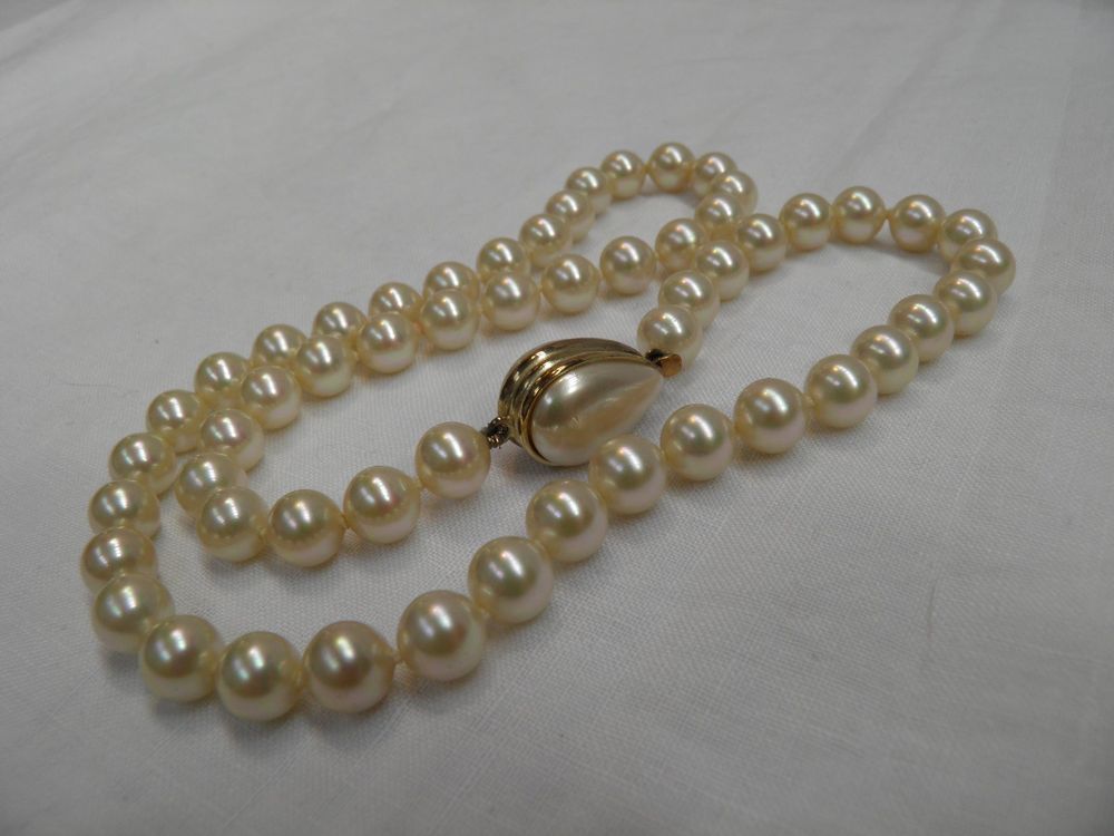 Perlenkette aus MAJORICA Perlen (Gebraucht) in Rüti ZH für CHF 39 – mit ...