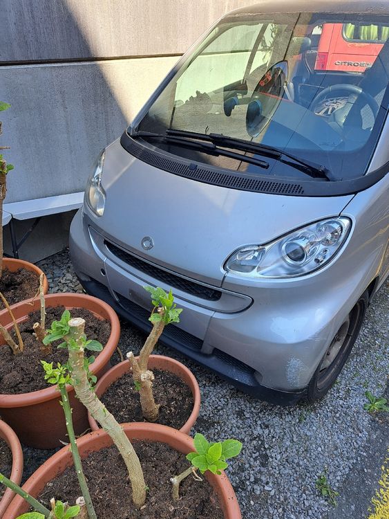Von Smart 451 komplette Front muß selber Demontert werden !! (Gebraucht ...
