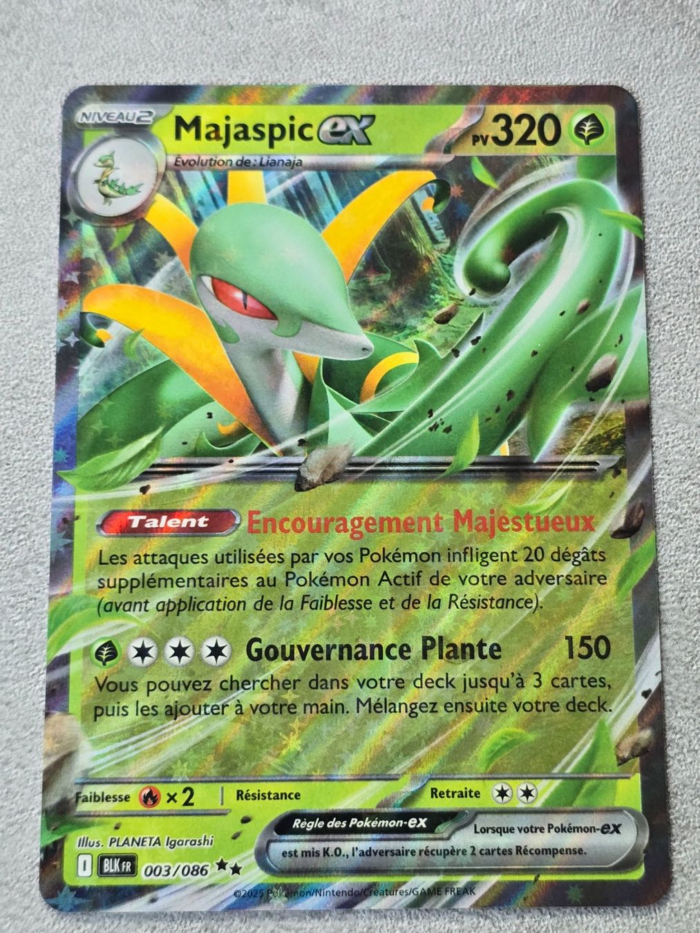 🇲🇫 Pokemon Black Bolt / Foudre Noire 》Gemäss Bild (Neu (gemäss ...