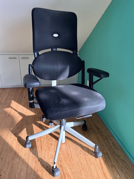 Ergonomischer Bürostuhl Steelcase Laura, voll variabel | Kaufen auf Ricardo