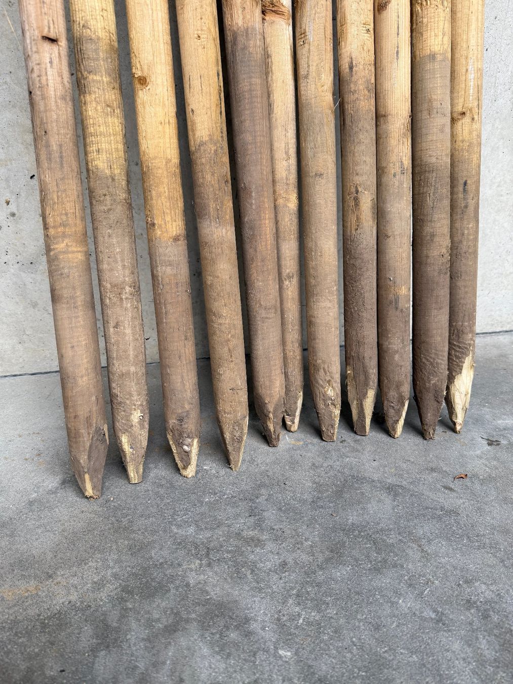 Gebrauchte Holzpfähle, Zaunpfähle 11 Stück (140-142 cm) (Gebraucht) in ...