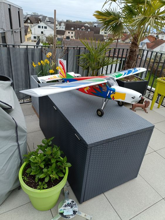 PILATUS PORTER PC-6 DESIGN Fredi BIRD VQ- Model / Pichler (Neu (gemäss ...