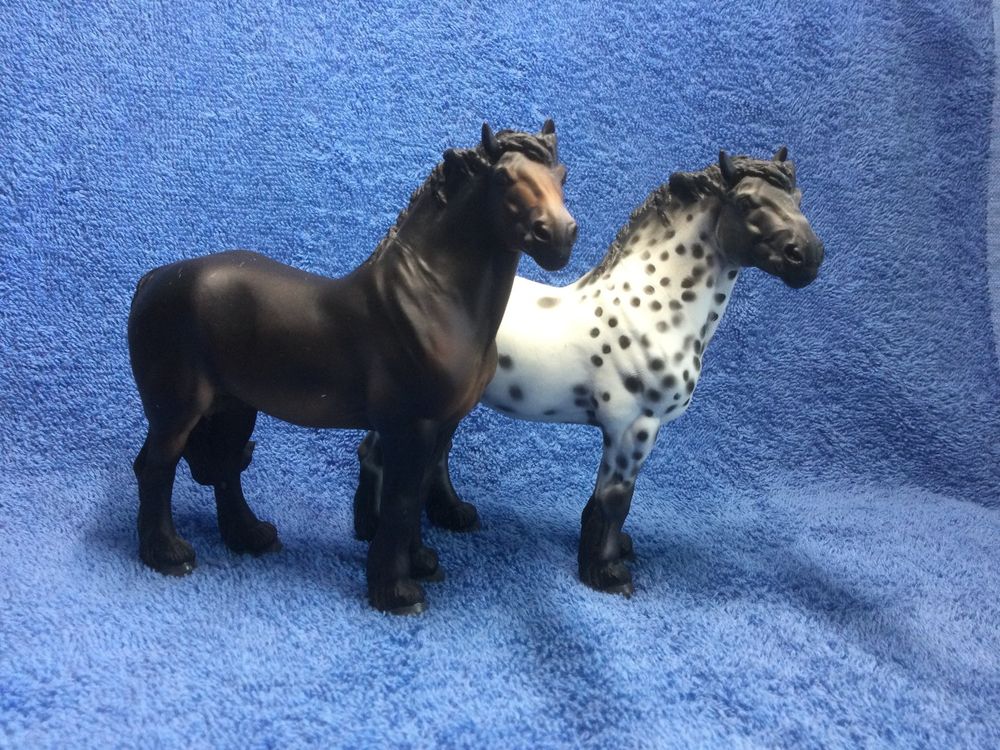 WIA Eberl Gustav Tigerschecke und Brauner. (Gebraucht) in Biel/Bienne ...