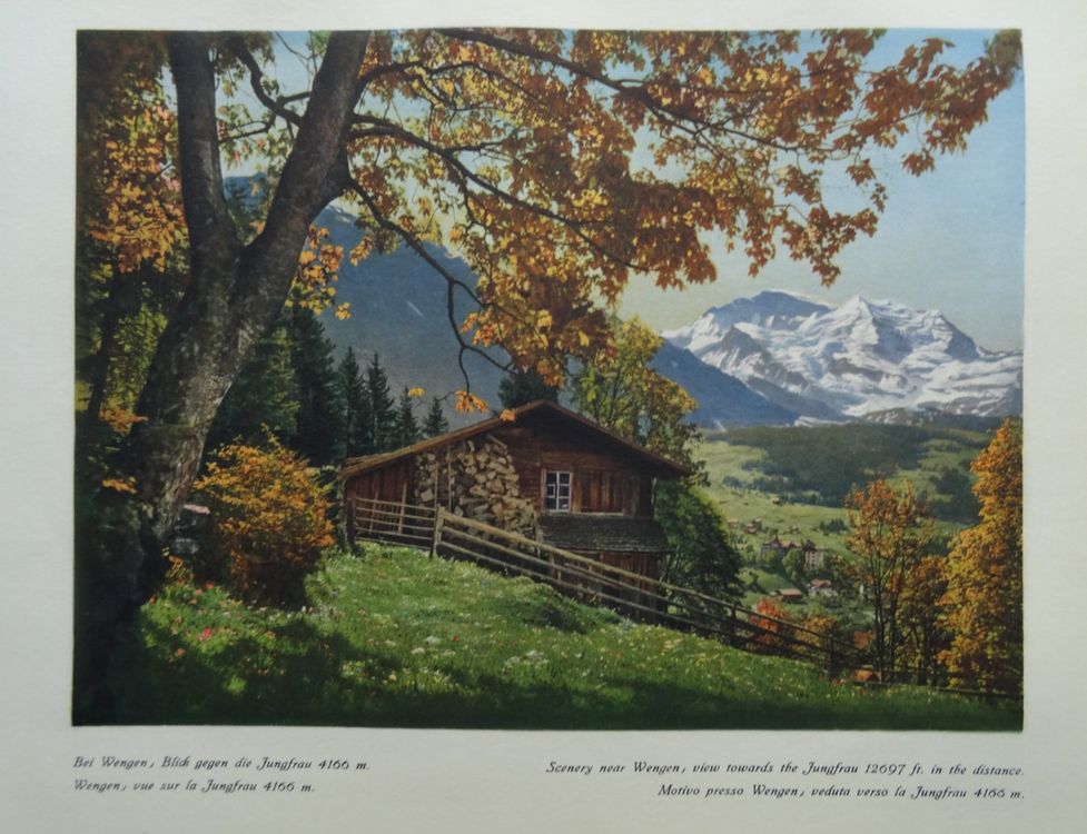 Bern Wengen um 1900 (Gebraucht) in Safnern für CHF 7 – mit Lieferung auf Ricardo kaufen