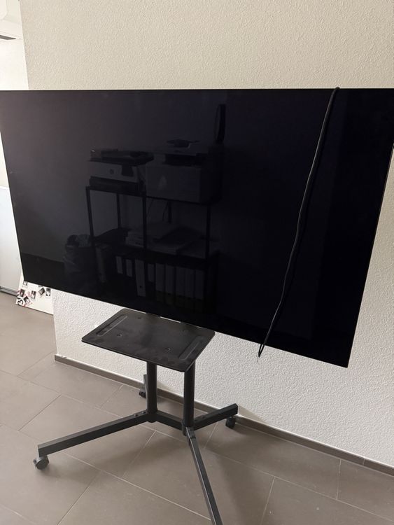 TLG OLED65BX6LB – 65 Zoll OLED TV (defekt!!) (Defekt) in Rothrist für ...
