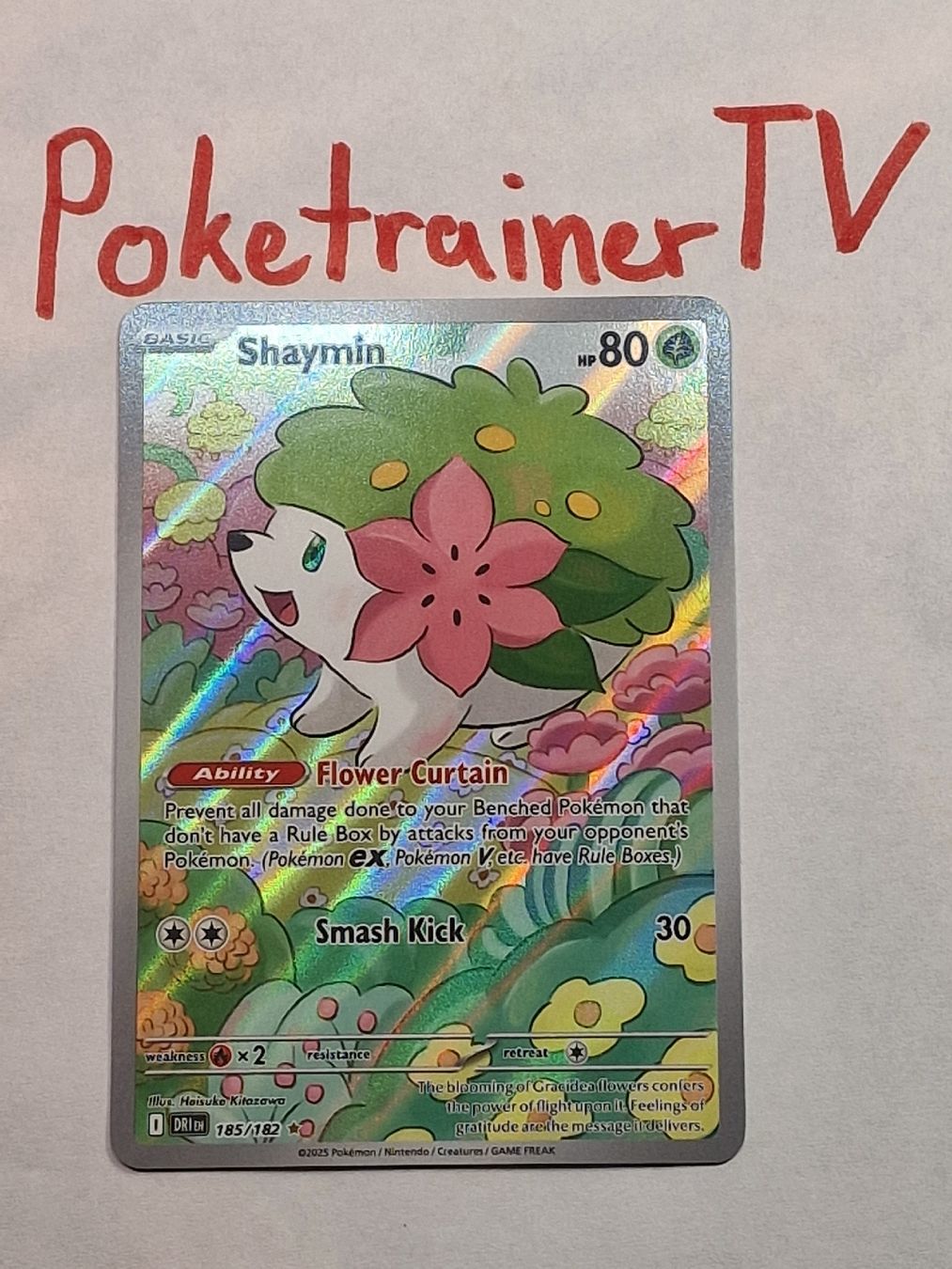 Shaymin 185/182 – Englisch – DRI – Near Mint (Neu (gemäss Beschreibung ...