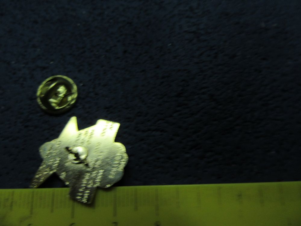 OLMPIA PIN SION 2002 VALAIS SUISSE GOLDIG GEPRÄGT (Gebraucht) in ...