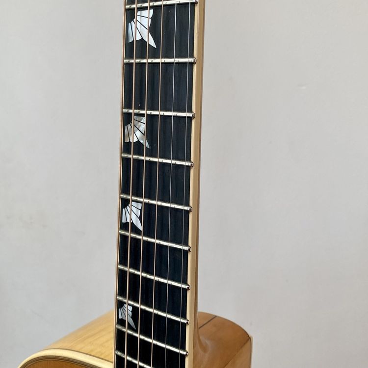 Santa Cruz FTC-32 Acoustic Guitar 1981 with Case | Kaufen auf Ricardo
