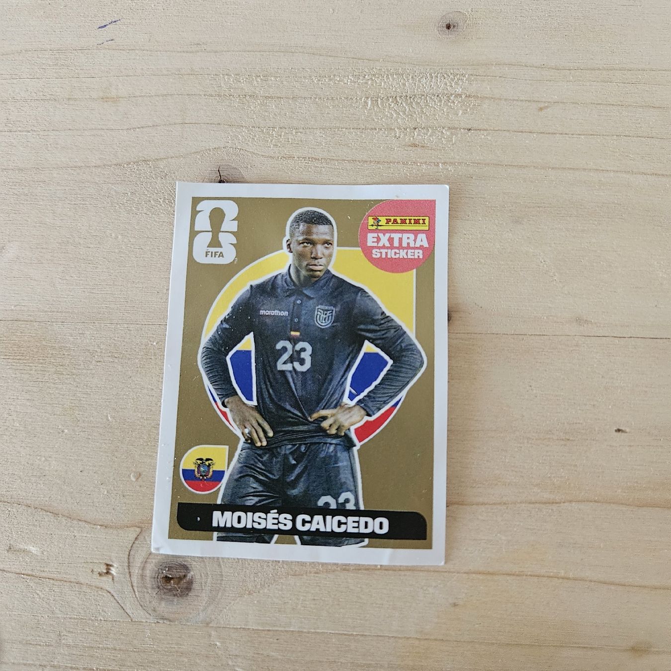 Panini Extra Sticker - Moisés Caicedo - WM 2022 - Rarität! (Neu (gemäss ...