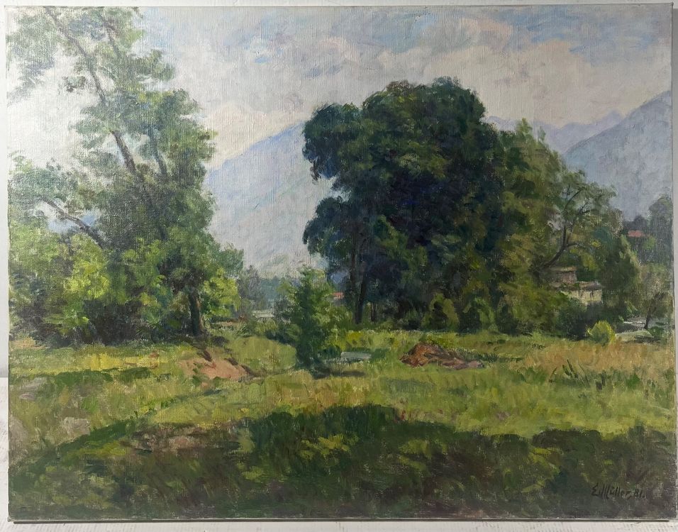 Ernst Müller-Göls (1902-2001) Landschaft Gemälde | Kaufen auf Ricardo