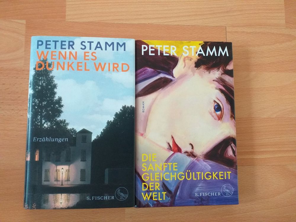 Peter Stamm wenn dunkel wird sanfte Gleichgültigkeit Welt (Gebraucht ...
