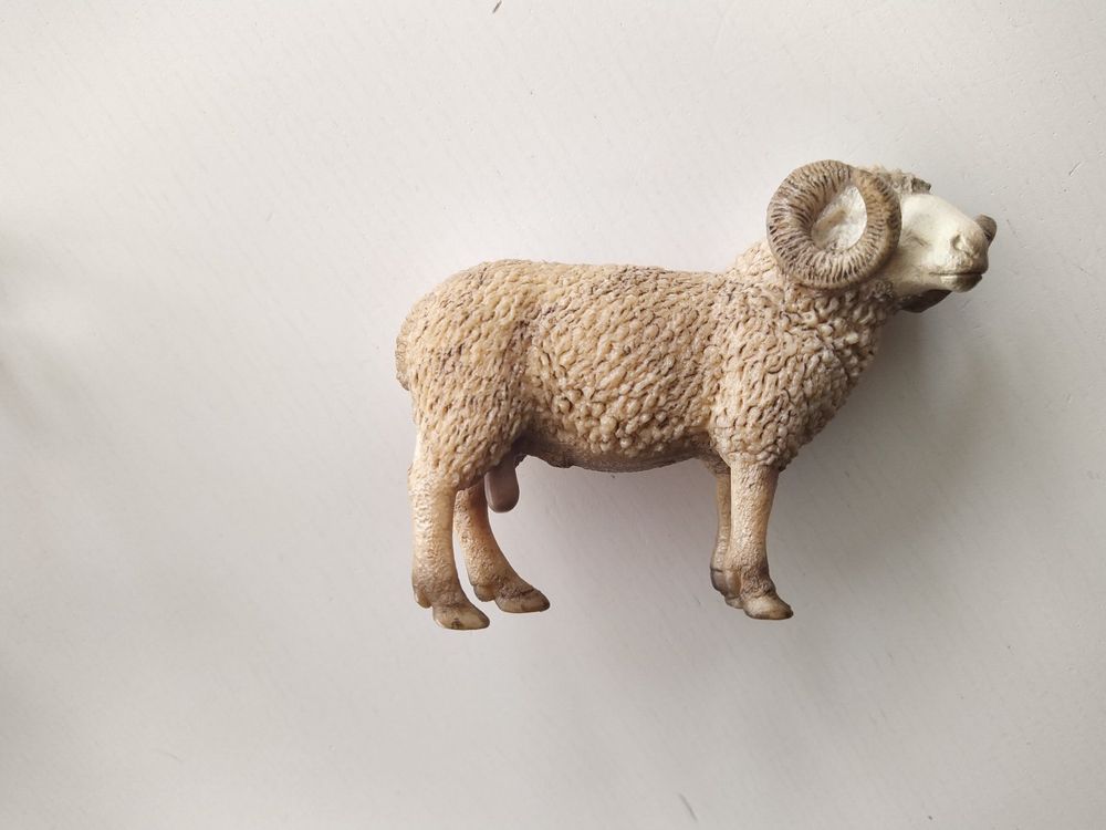 Schleich Schafbock | Kaufen auf Ricardo