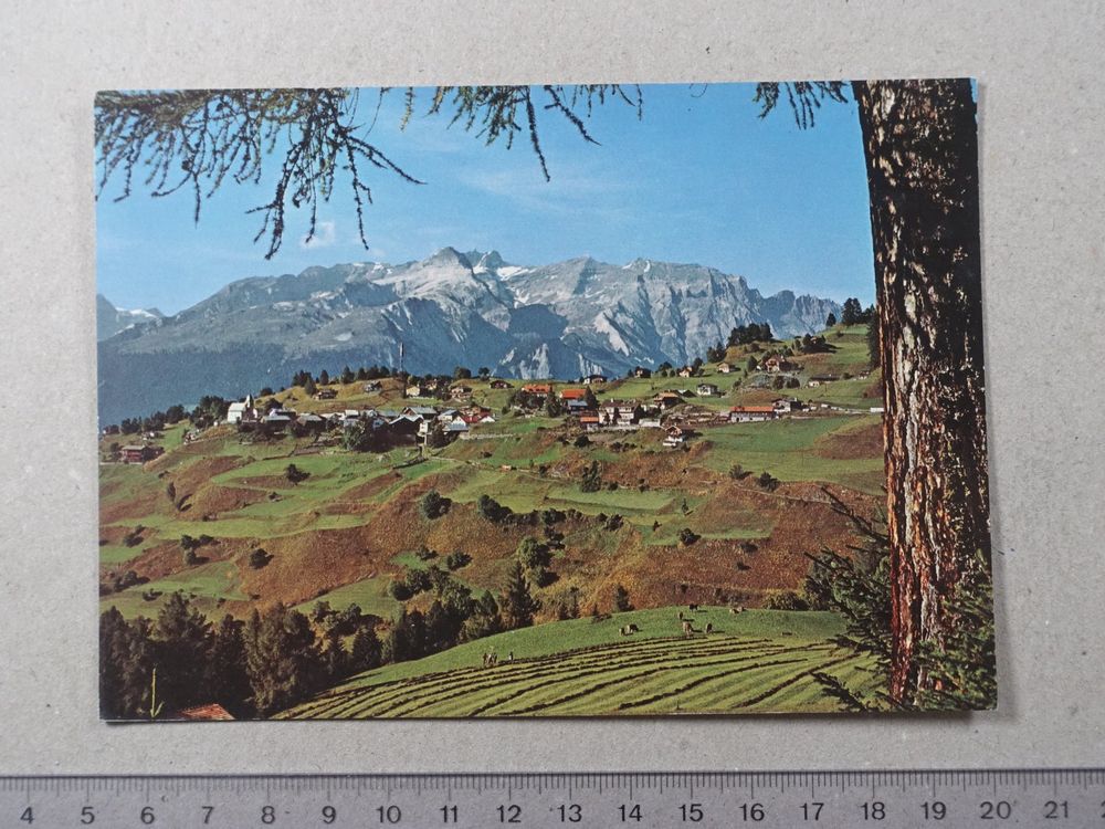 Feldis, 1985 (Gebraucht) in Lenzburg für CHF 3 – mit Lieferung auf Ricardo kaufen